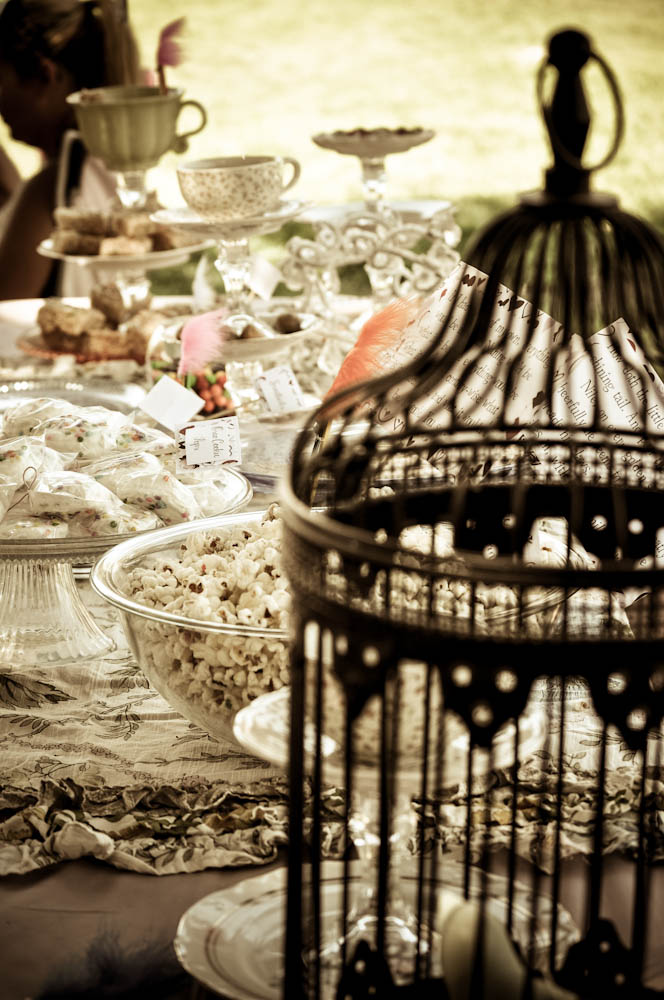 Mommy like Whoa: Alice Tea Party for under $300!