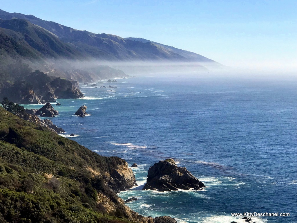 5 Free Wildlife Stops to Include on Your California Road Trip