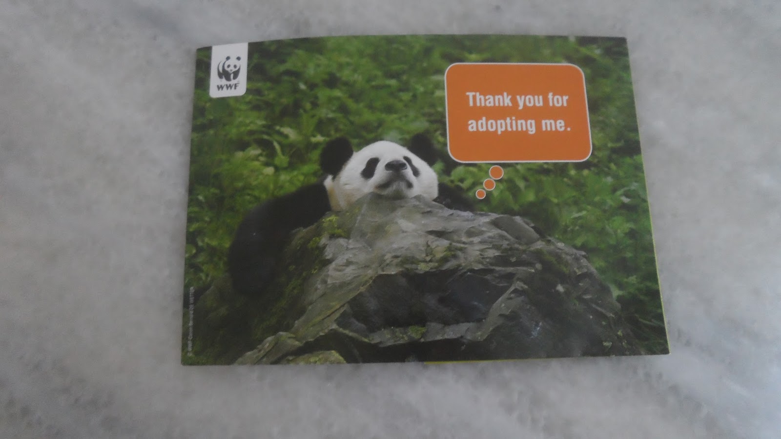 Interesting Corner of Me : WWF Malaysia: Panda Adoption Pack