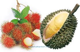 Durian & Rambutan, 17-23 June 2011