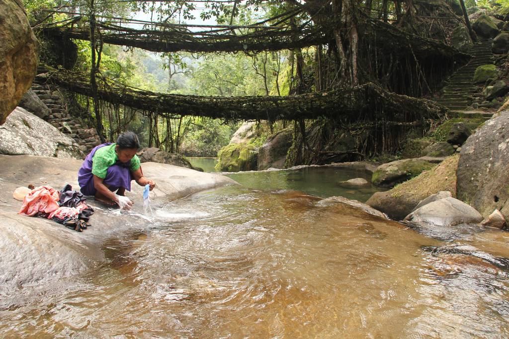 The Living Root Bridges of India ~ Kuriositas