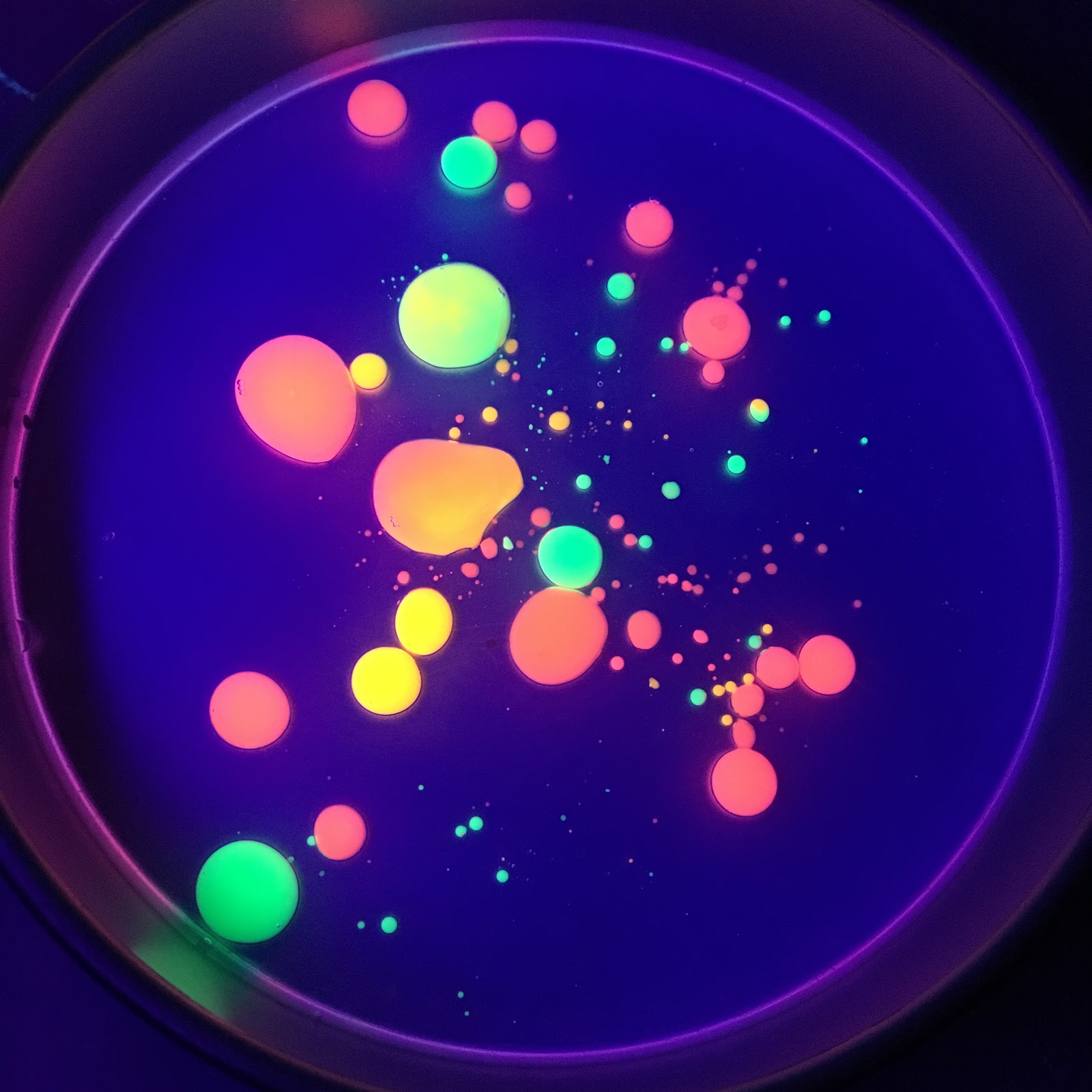 Oil & Glowing Water Science Experiment