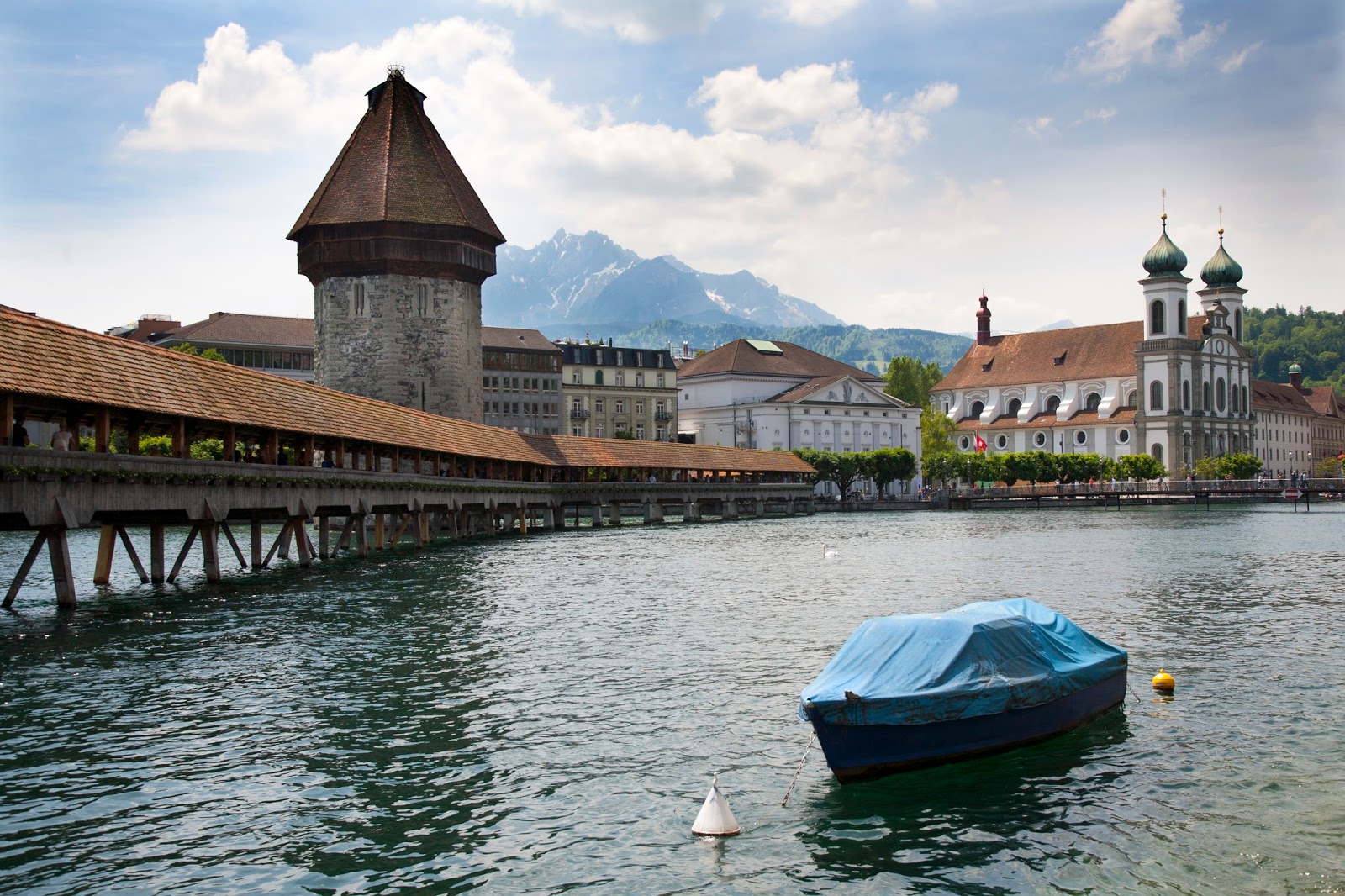 xakelaphoto: Luzerna
