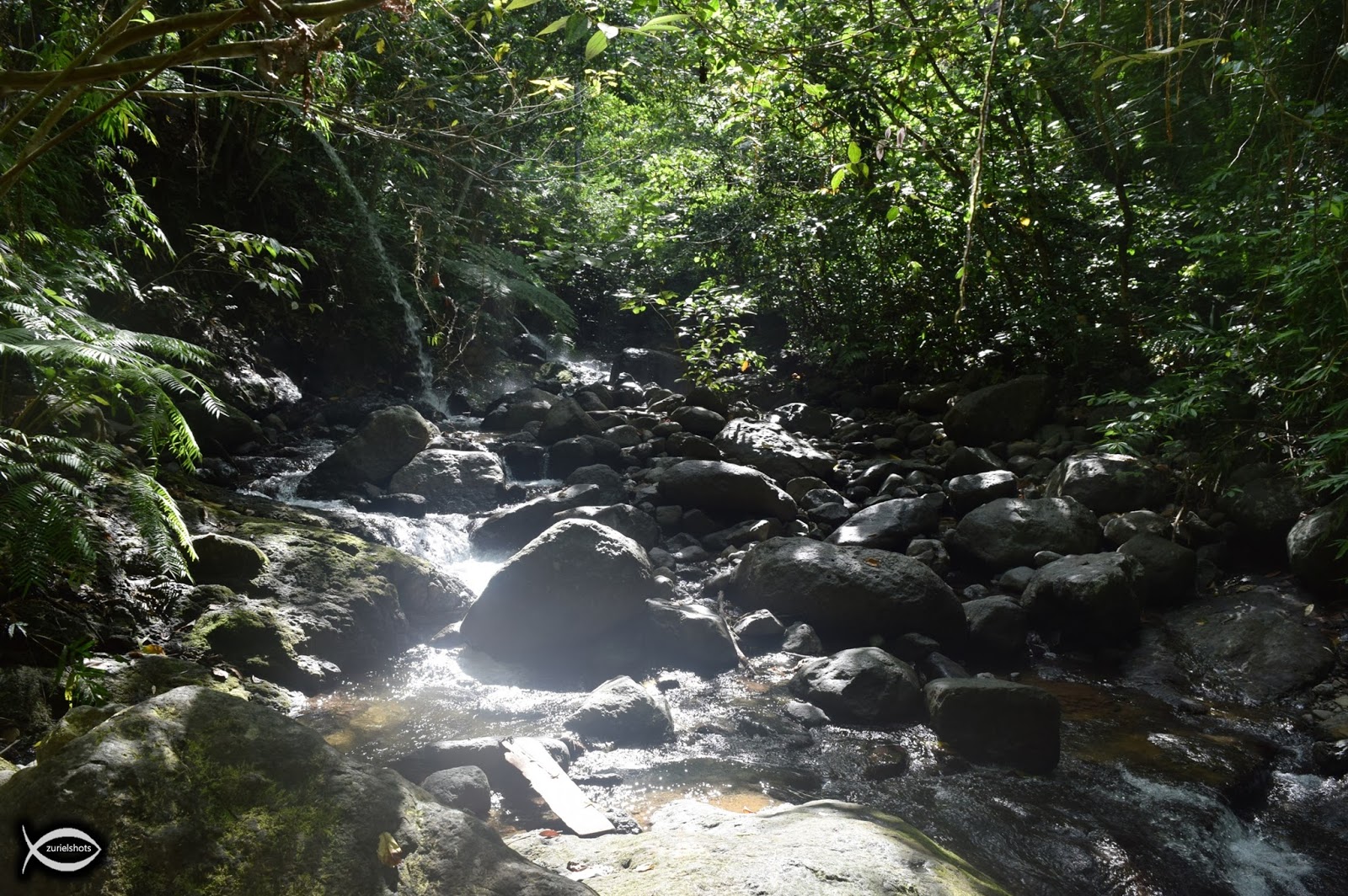 Zuriel Shots: Cawayan Falls