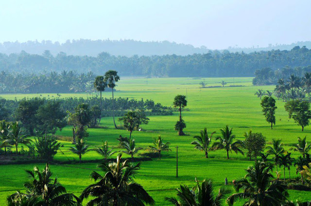 Palakkad ~ Kerala Green Beauty
