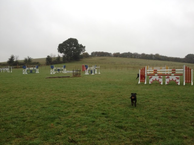 Show Jumping Field - Pentonville Lodge Stud