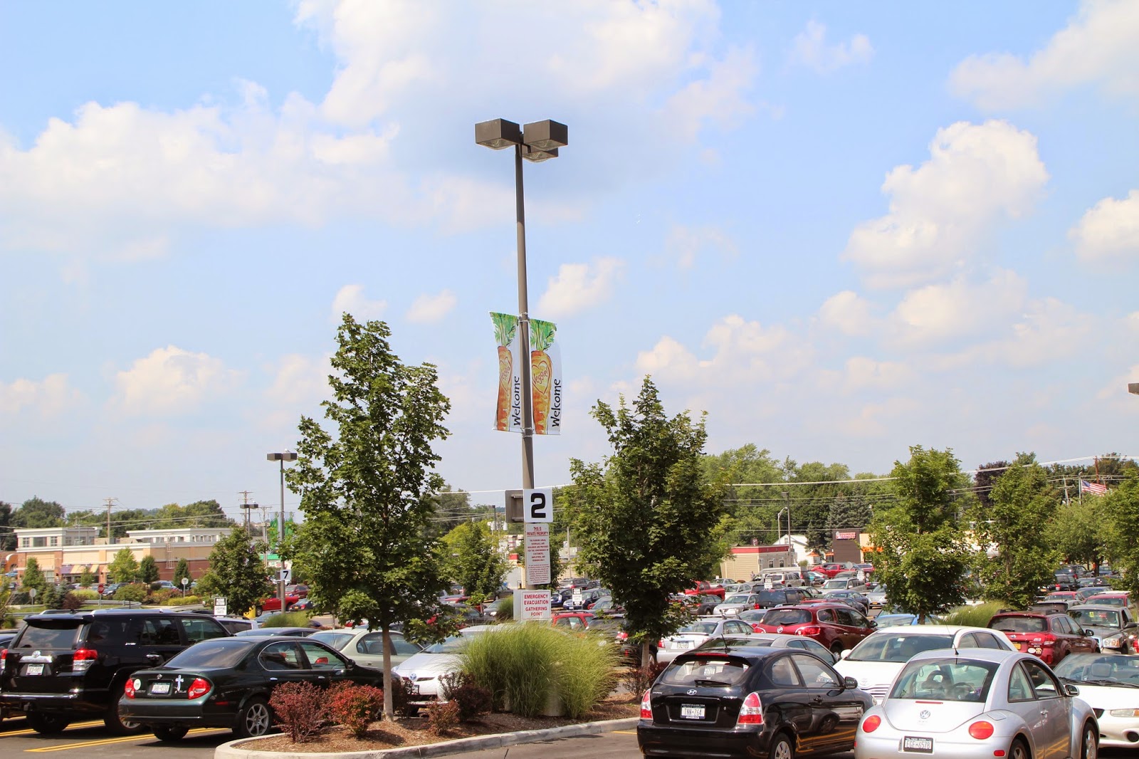 Downtown Decorations, Inc.: Wegmans Veggie Welcome Banners