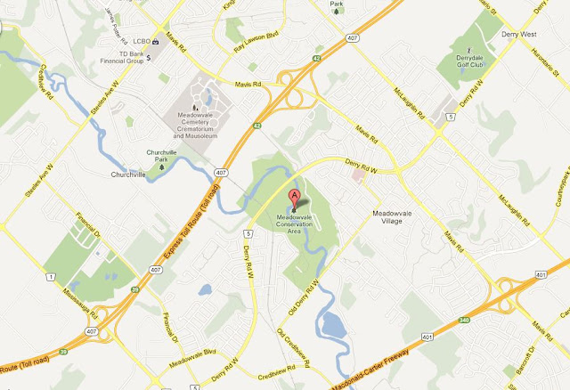 Marion Family Reunion: Meadowvale Conservation Park