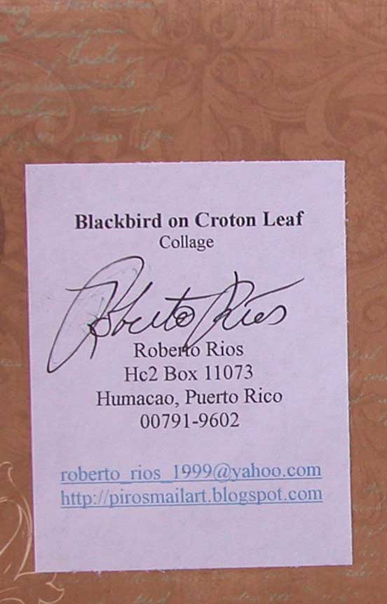 BLACKBIRD PROJECT: ROBERTO RIOS