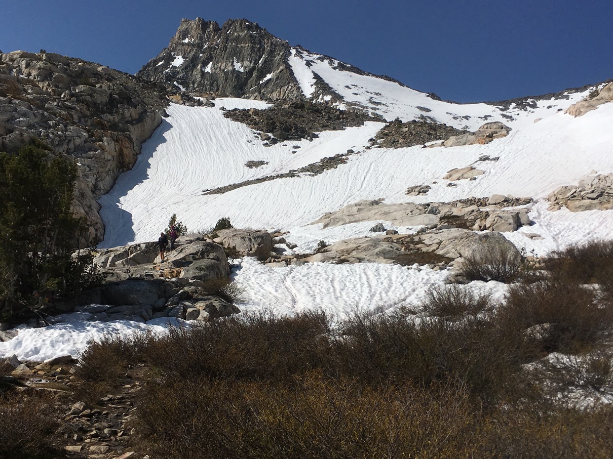 Summit Rounder: PCT - Day 50: 6/7/2018 - Mile 800 and bear encounter