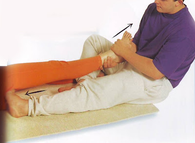 Traditional Thai Massage: Lesson Two: The Feet & Legs