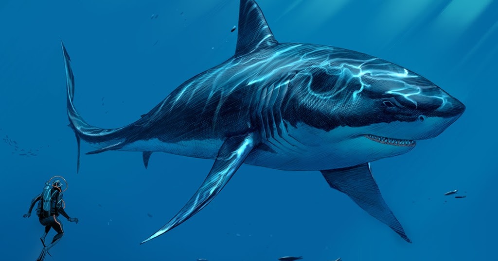 Megalodon