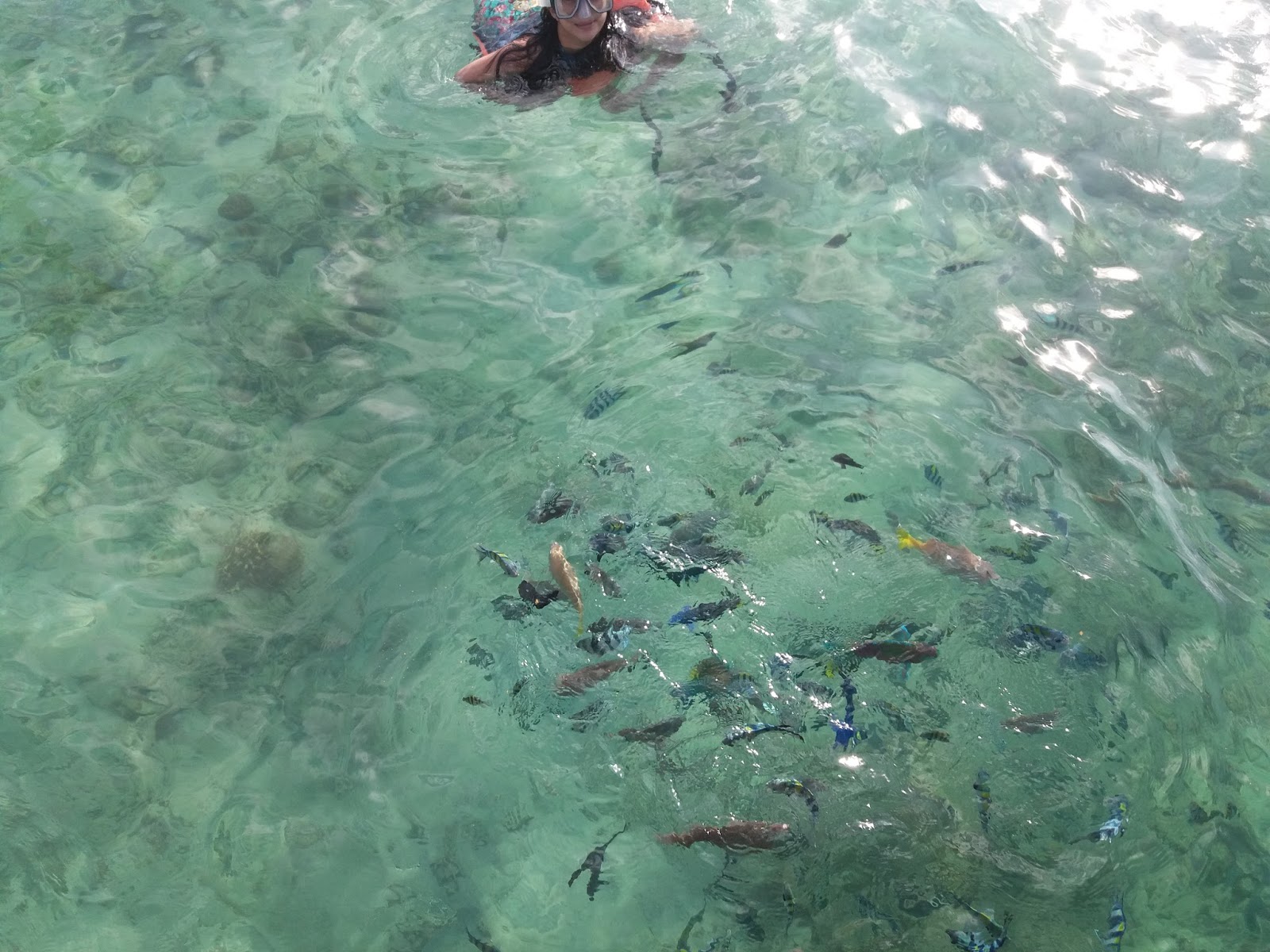 Looc Bay Marine Refuge and Sanctuary