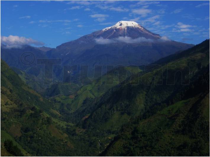 TOLIMA-IBAGUE: Ibague ciudad musical de colombia