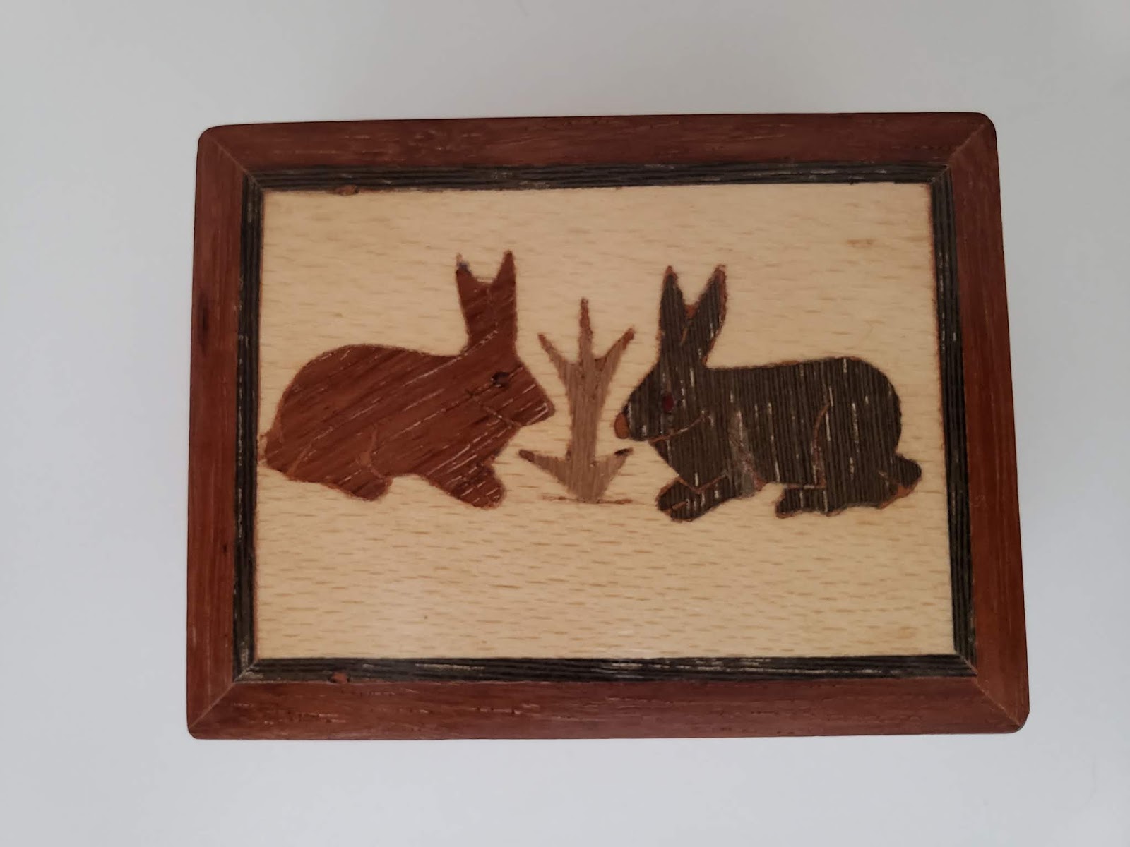 Tales from The Raspberry Rabbits: A Hop through Bunnyville