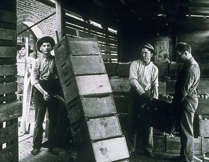 San Francisco, A History.: The Cannery.