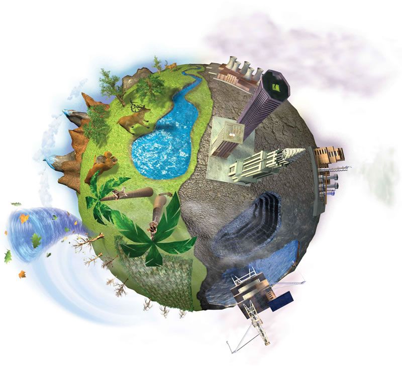 ¿CÓMO SE DEFINE LA VIDA DESDE EL PUNTO DE VISTA DE LAS CIENCIAS BIOLÓGICAS?