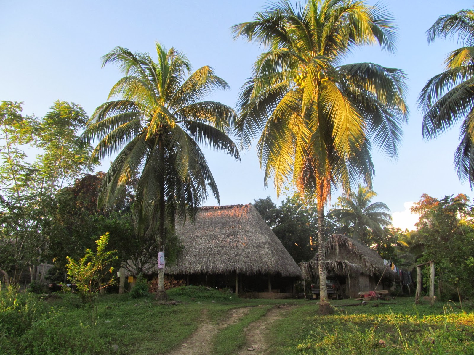 Cello Chocolate Adventures: Gallery