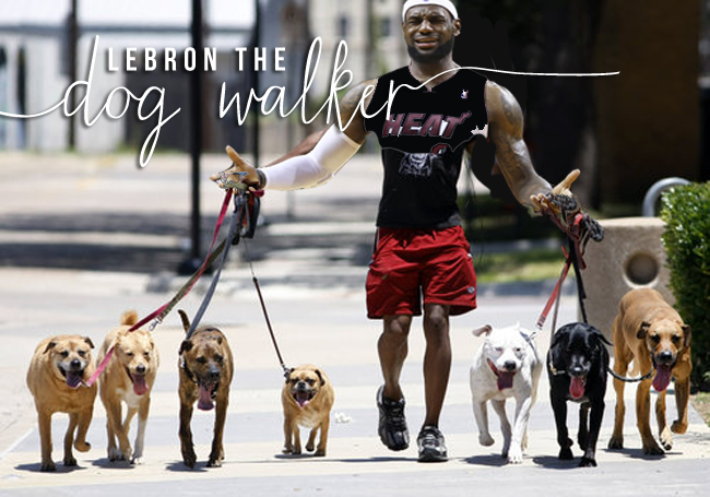 Jobs Fit for a King | Venus Trapped in Mars || Dallas