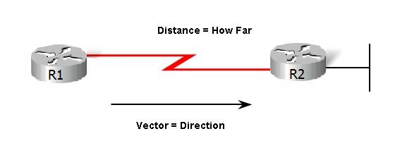 Distance Vector Dynamic Protocols ~ Expert IT Gurus