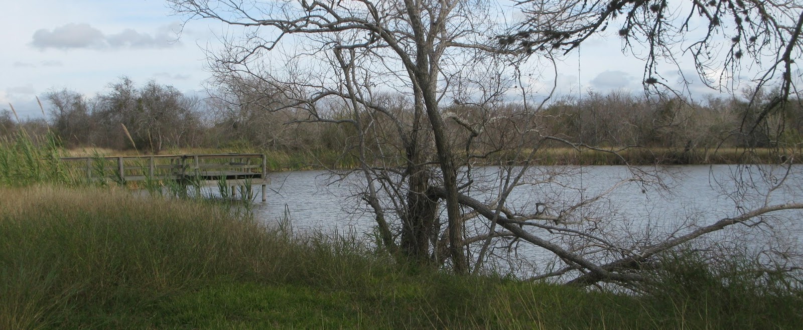 Old Fat Man Adventures: Sinton Park