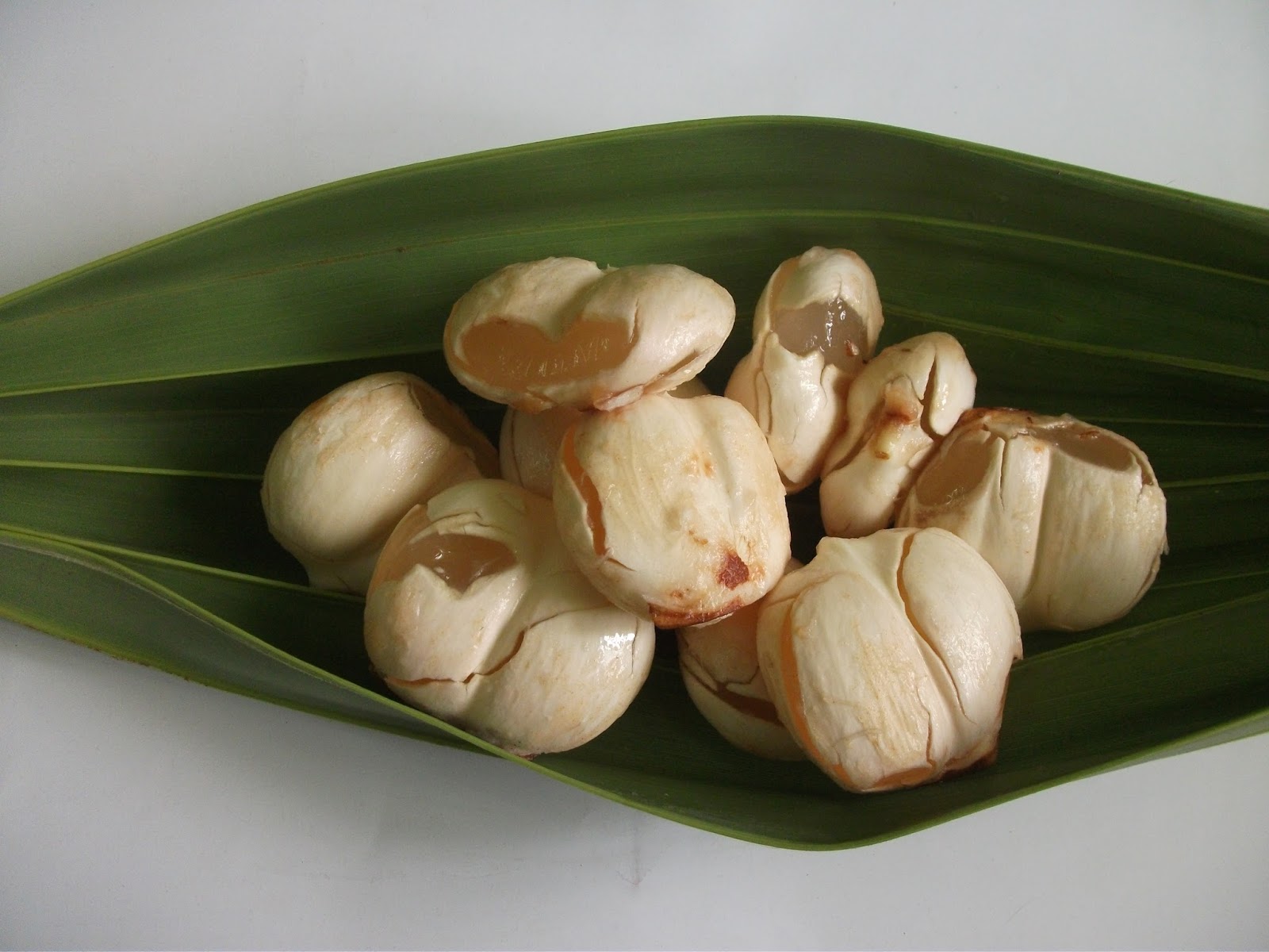 Sangita's Cookbook: Nungu / Palm Fruit / Ice Apples Milk Shake