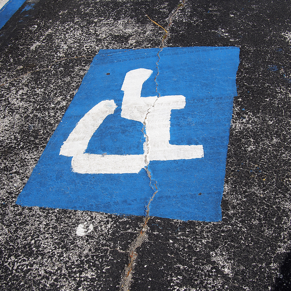 North Florida Pictures: August 2012