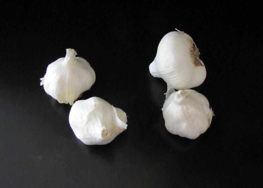 Smells Like Food in Here: Roasted Garlic