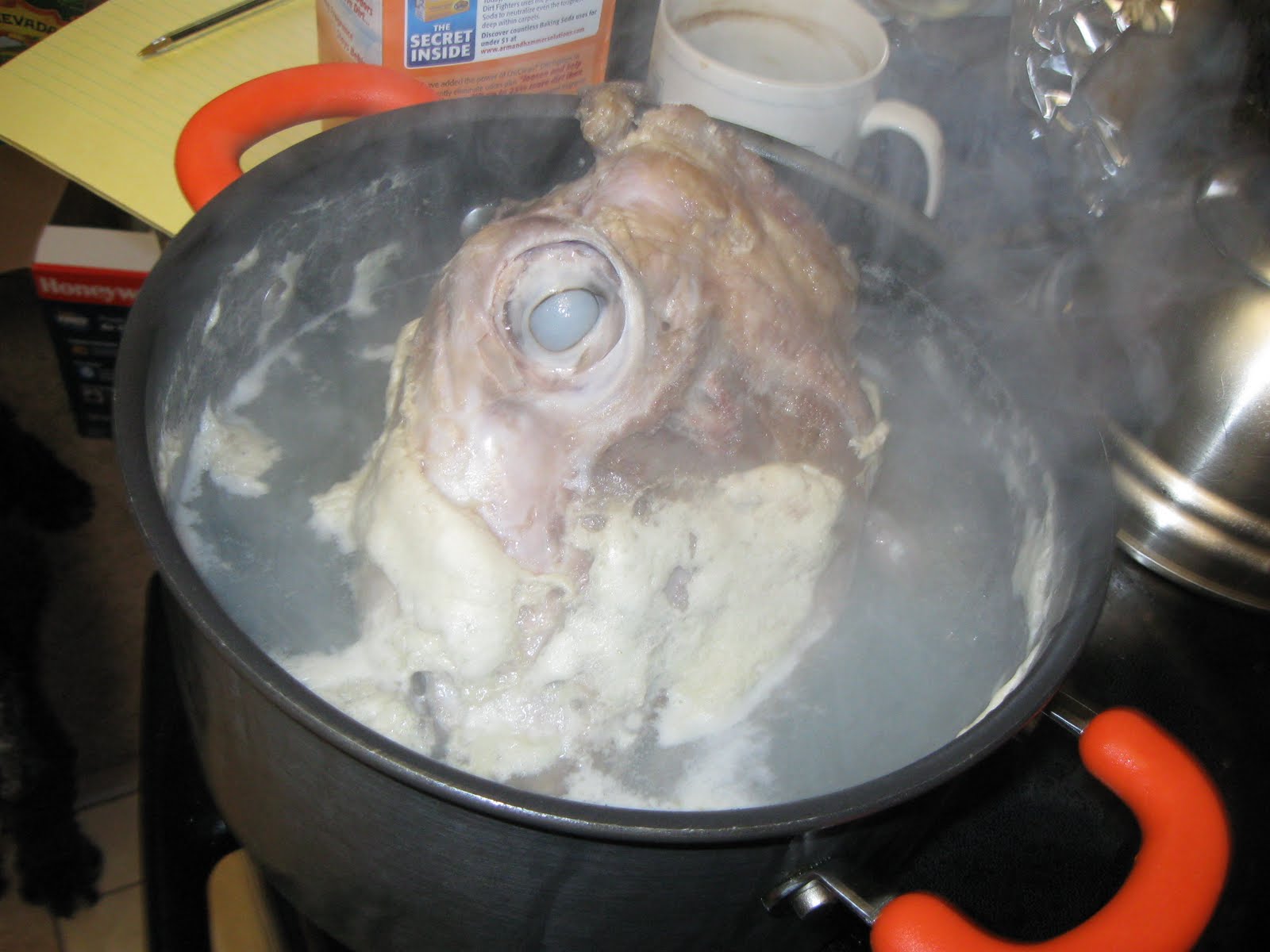 Bizarre Foods at Home: Roasted Lamb's Head
