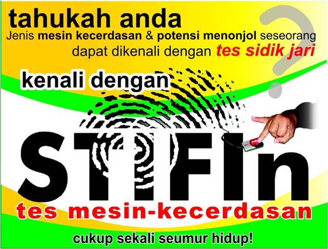Apa itu STIFIn?