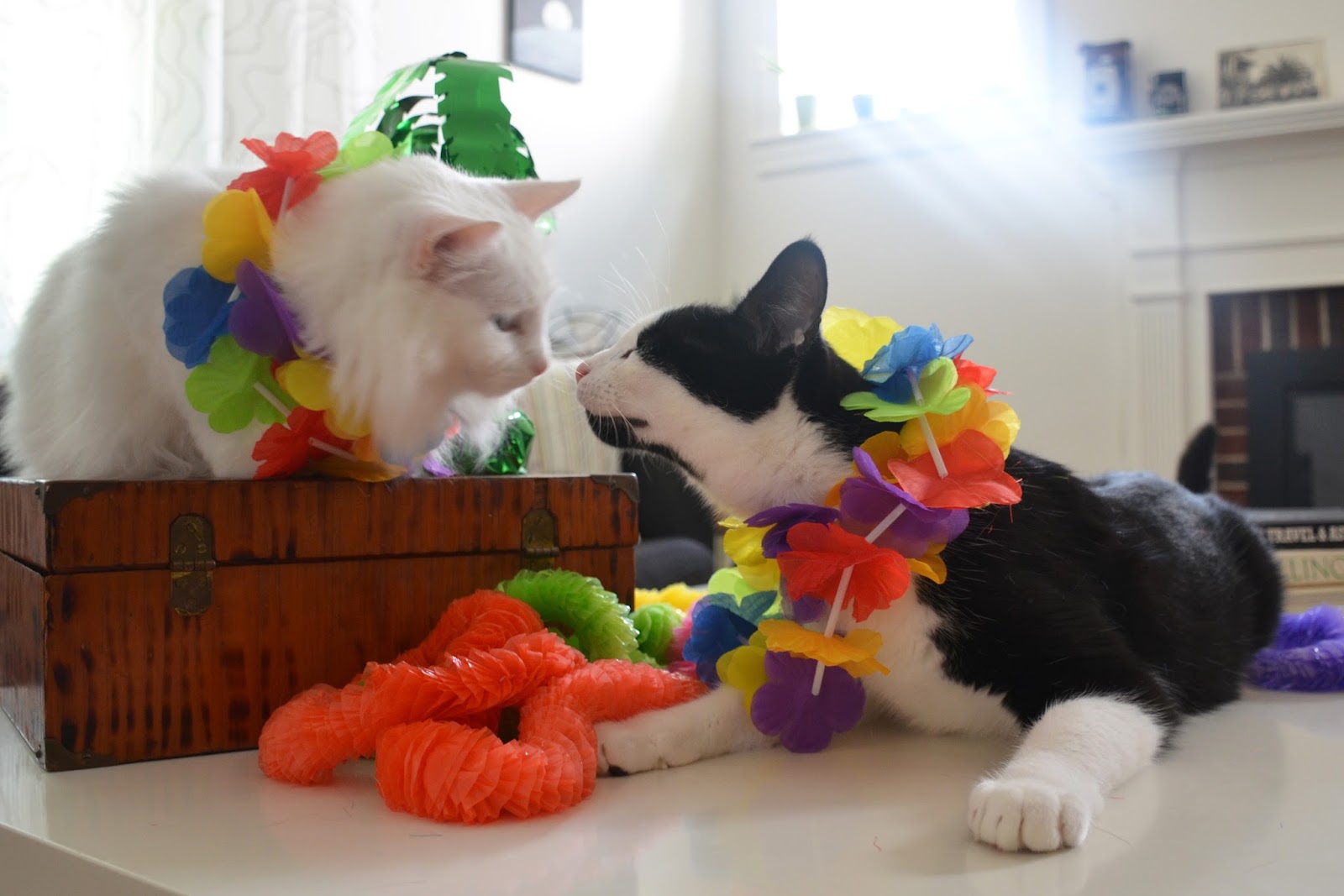 Jeeves and Cloud even touched noses. They were immediately repulsed by ...