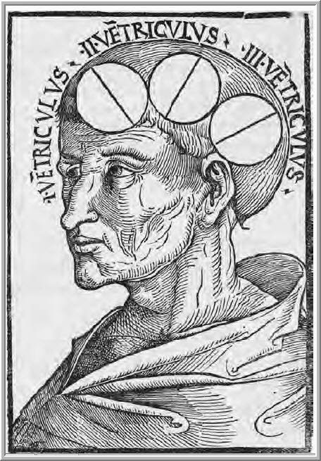 ALBERTUS MAGNUS | S T R A V A G A N Z A