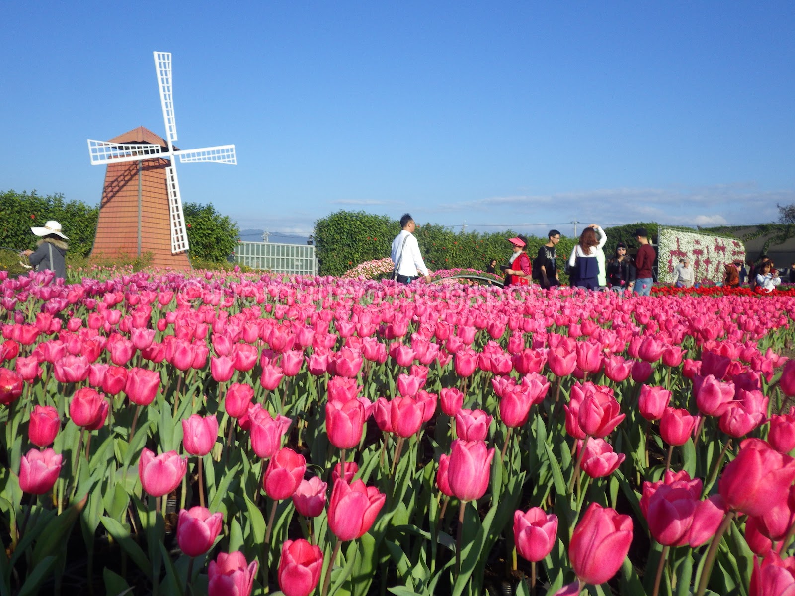 DEALS ON PLACES TO STAY IN TAIWAN | Travel the World