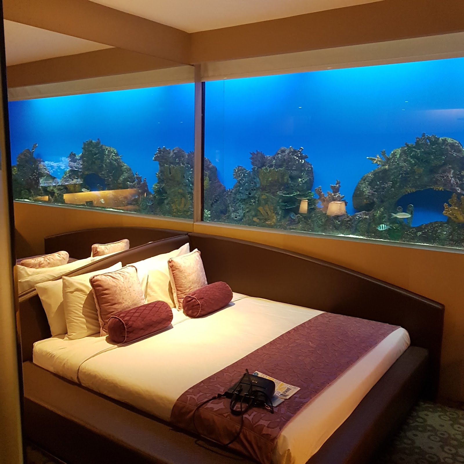 Review #5: Hotel H2O, Manila - Lakwatserong Pusa