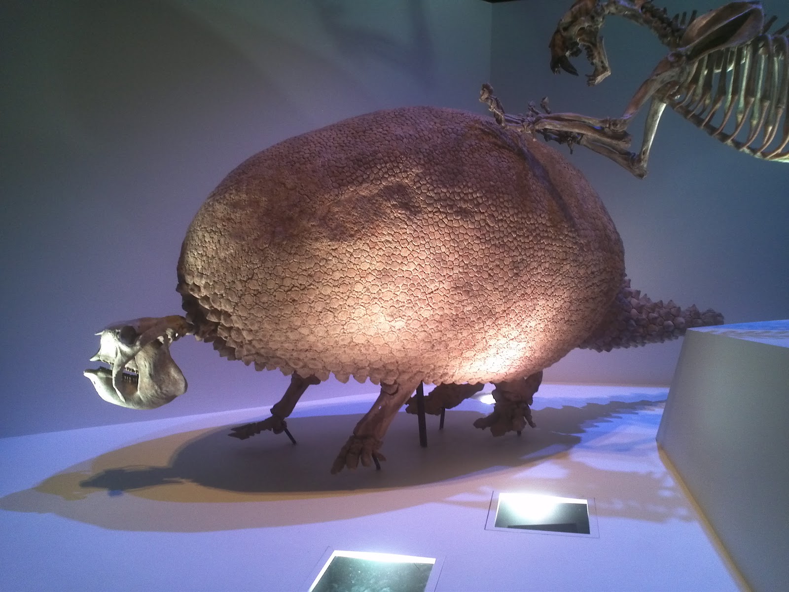 The Garden Cat Cottage: September 2012