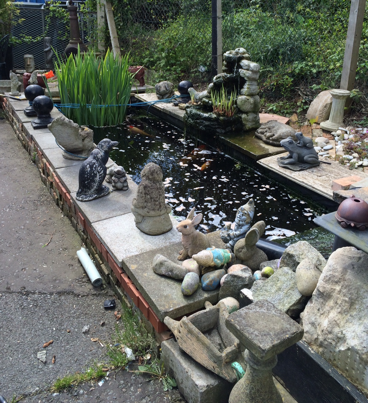 Transpontine: SE14's secret sanctuary for garden creatures