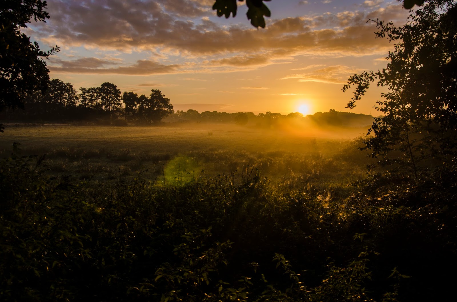 Natuurfoto Oost-Groningen: Ochtend mist in Westerwolde.