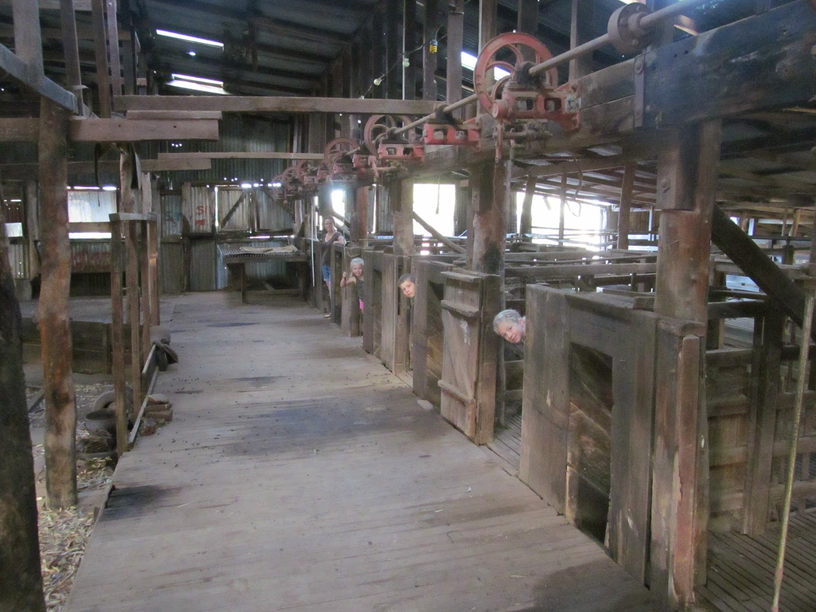 Best Term 2 Ever: Murchison House Station & Kalbarri National Park (By ...