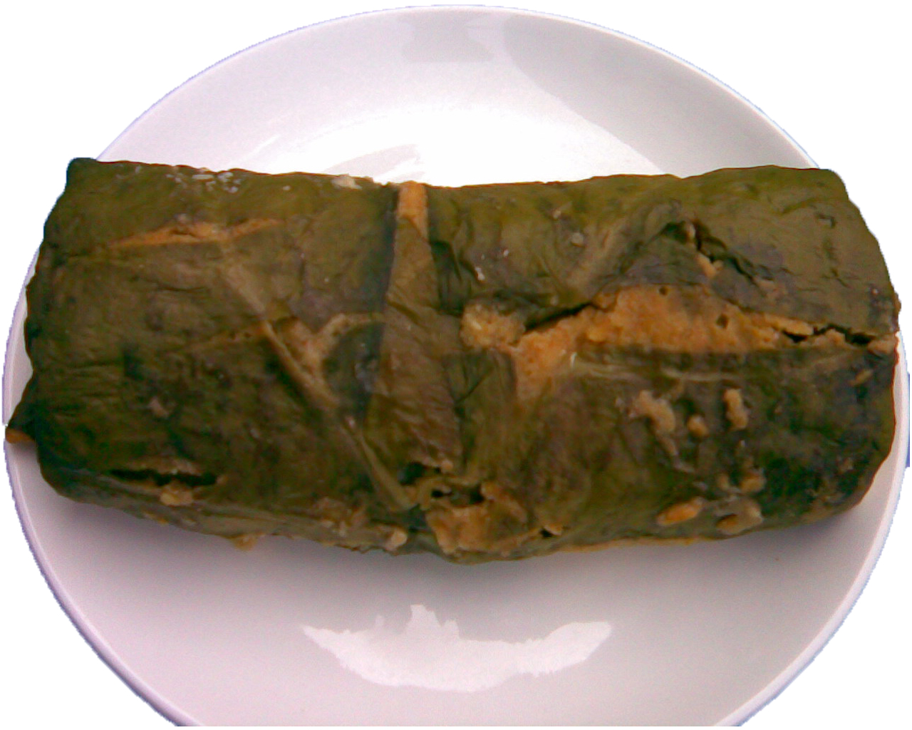 Mouthwatering Food Recipes: 98) PATRODO VERSION – A