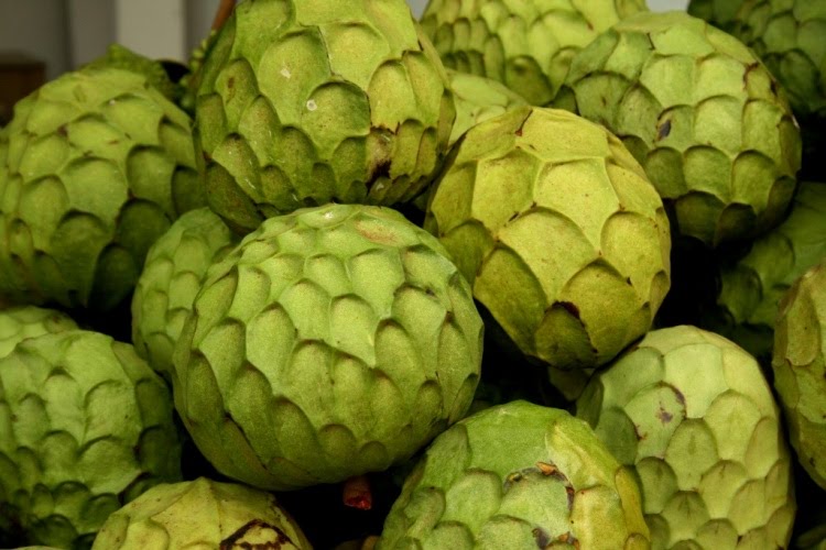 Visão Jovem Moçambicana: Os benefícios da anona