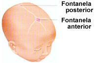 Recién Nacidos: Cuidados del RN
