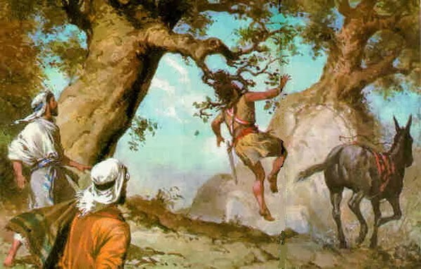 Palabra de Dios diaria.: LECTURAS DEL MARTES IV DEL T. ORDINARIO 4 DE ...