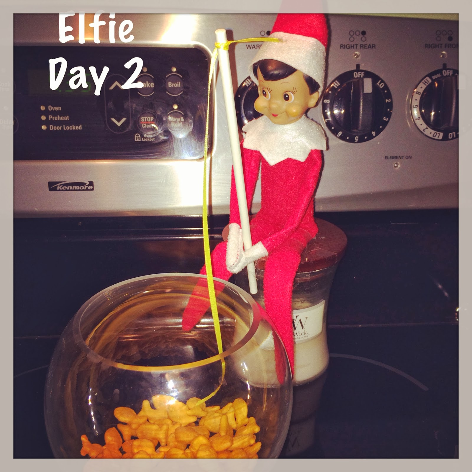 The Thacker Family: Elfie 2013