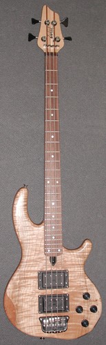 A HISTORY OF WAL BASSES: Introduction and a brief overview...