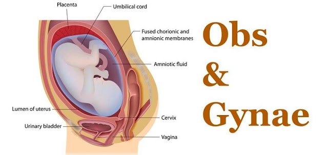 Medical Ebooks Pdf Blog Gynaecology Obstetrics Books