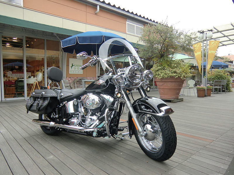 HARLEY神戸 STAFF ブログ: '12 FLSTC 納車