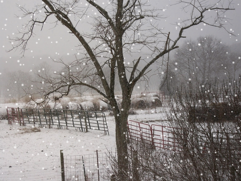 musings from remember when farm.....