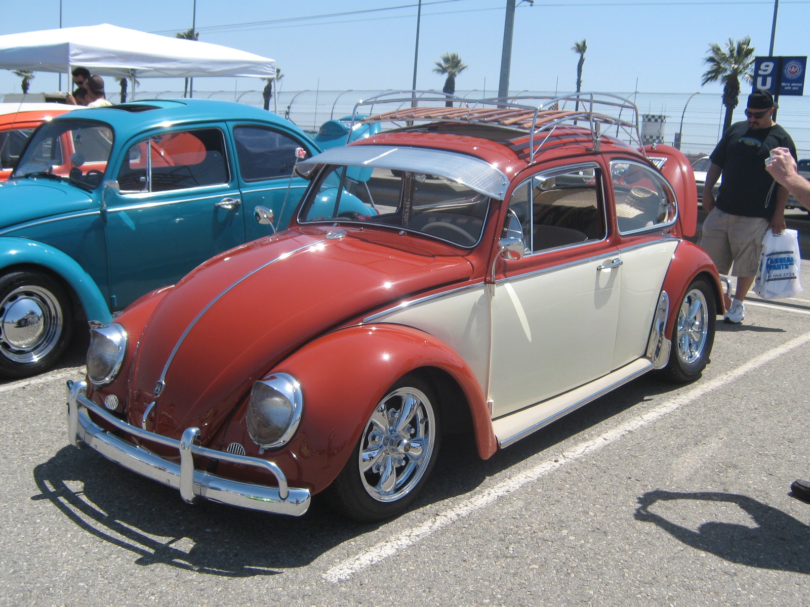 500 VW Bugs Take over Auto Club Dragway - animal world