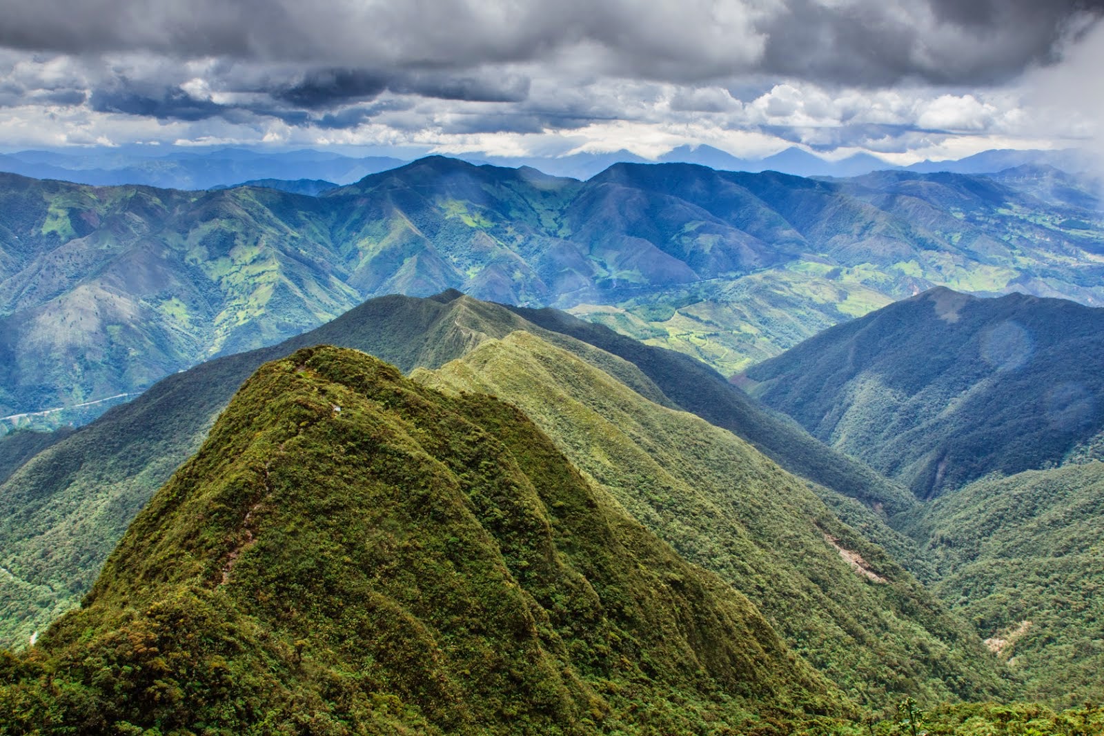 LA NATURALEZA EN ECUADOR