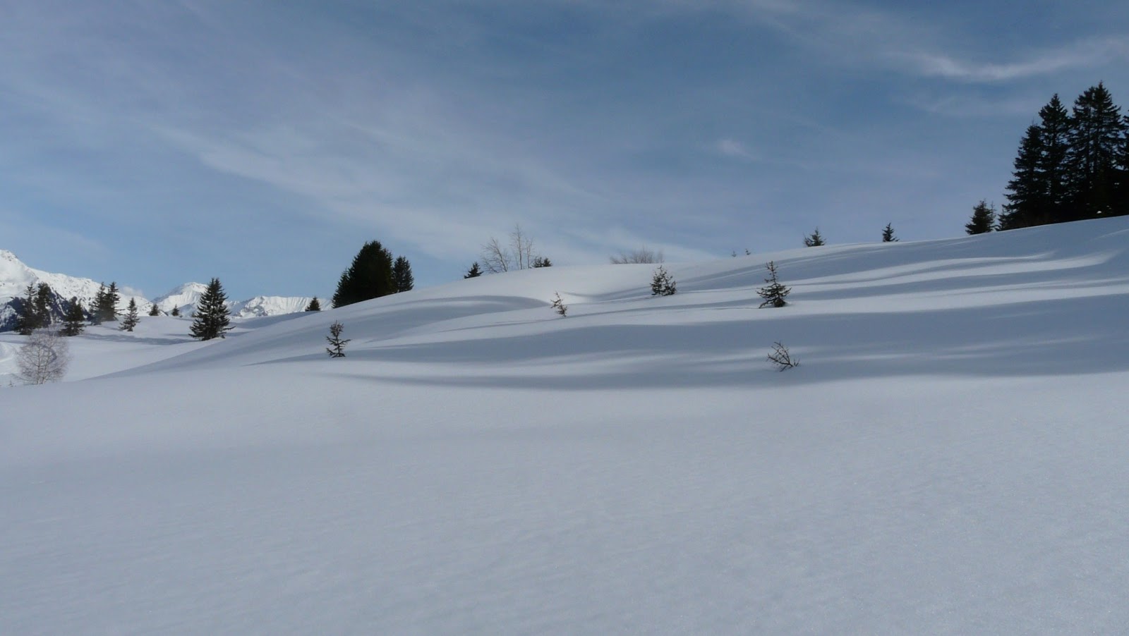 Bureau montagne ART' ITUDE: Les alpages de Bisanne - Les Saisies